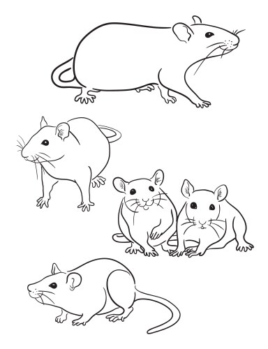 Mouse Outline Vector Images (over 30,000)