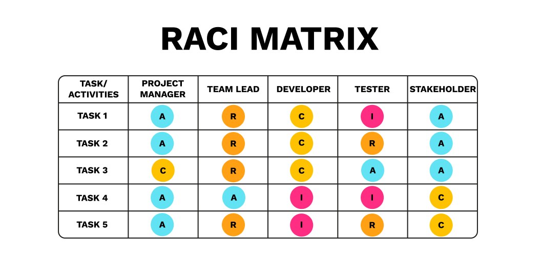 Raci matrix chart business with accountable Vector Image