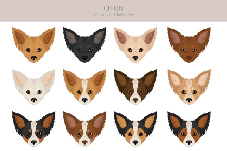 Chihuahua Vector Images (over 5,100)