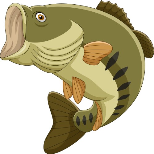 Cartoon funny bass fish collection Royalty Free Vector Image