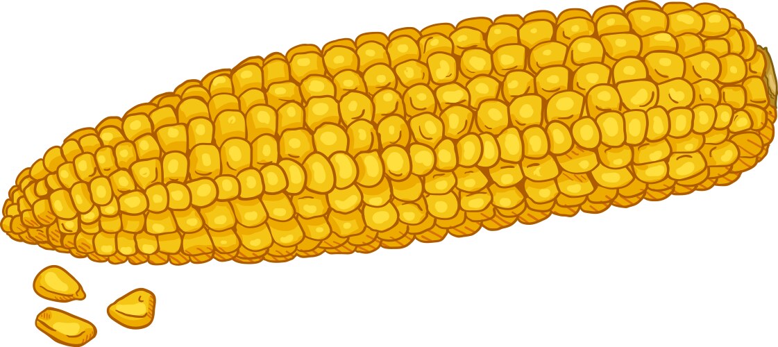 Cartoon Corn Corn Cartoon Stock Illustration Download Image Now