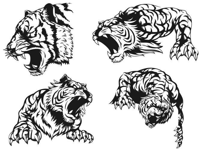 Tiger Outline Vector Images (over 9,600)