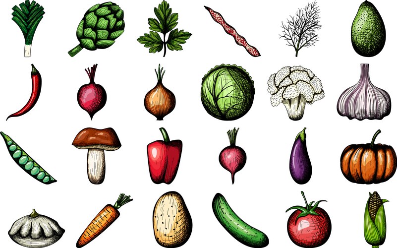 Hand drawn sketch of tropical and exotic fruits Vector Image