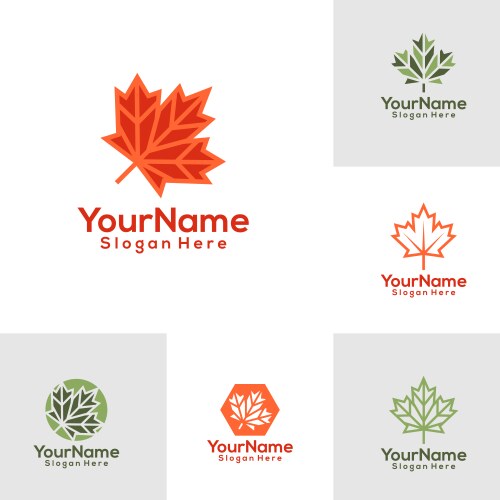 Maple leaf logo design template Royalty Free Vector Image