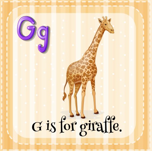 Letter G Flashcards Vector Images (over 320)