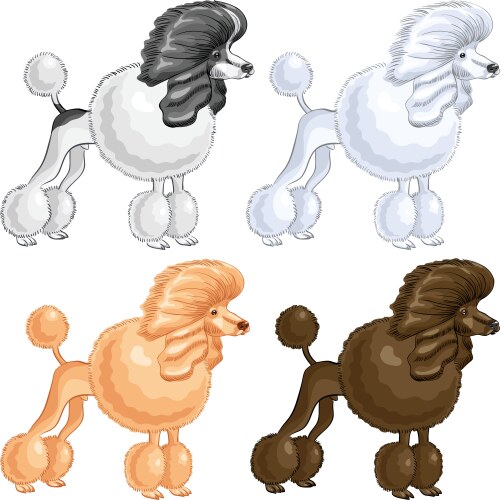 Poodle Vector Images (over 7,000)