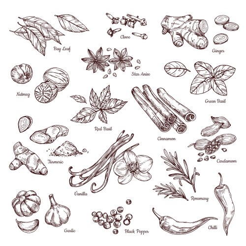 Pepper Vector Images (over 130,000)