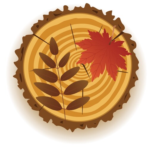 Wooden log cut Royalty Free Vector Image - VectorStock