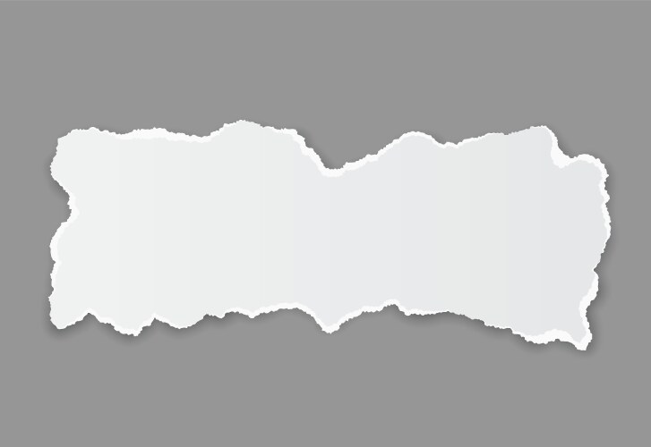 Empty ripped paper piece realistic Royalty Free Vector Image