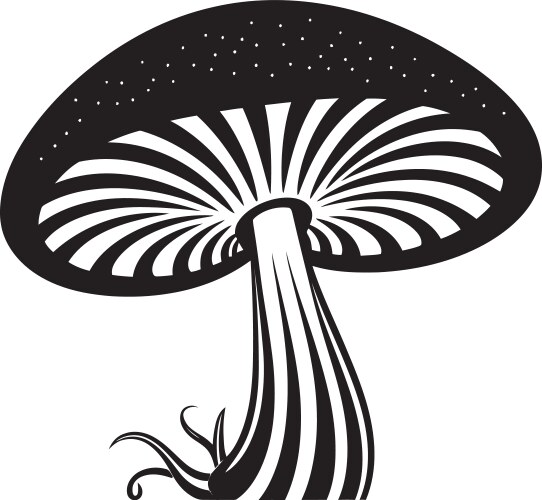 Mycelium Fungi Vector Images (over 510)