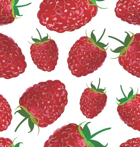 Raspberry pattern Royalty Free Vector Image - VectorStock