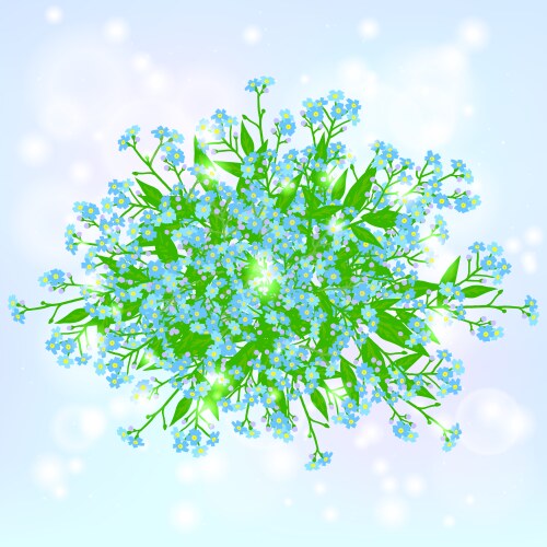 Forget Me not Vector Images (over 2,400)