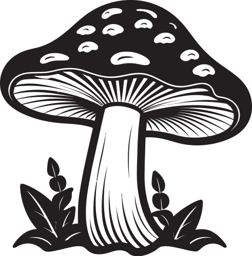 Mycelium Logo Vector Images (over 290)