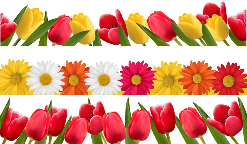 Yellow Flower Border Vector Images (over 15,000)