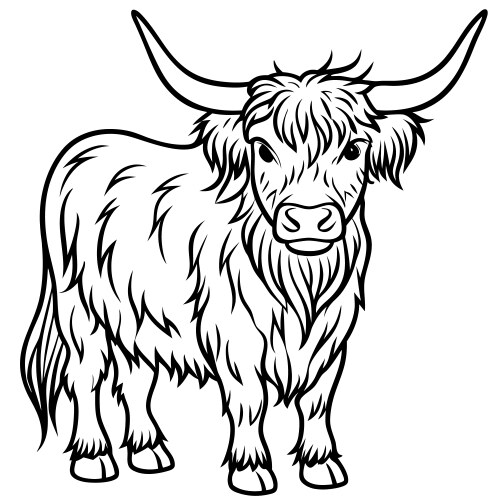 Highland Cow Vector Images (over 1,100)