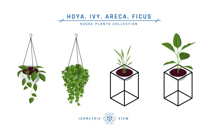 Isometric Plants Vector Images (over 49,000)