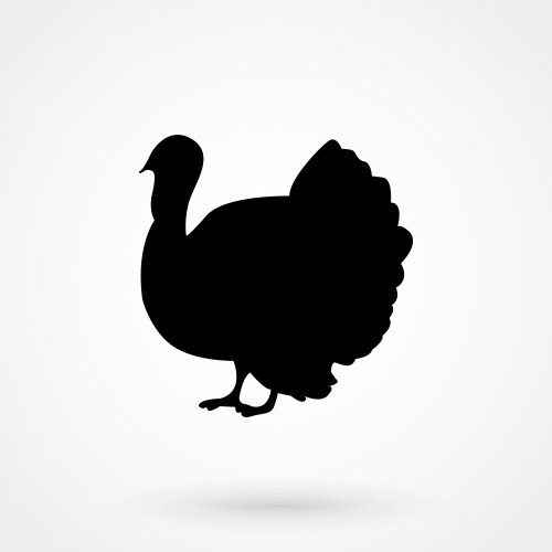 Turkey Tail Feathers Vector Images (over 480)