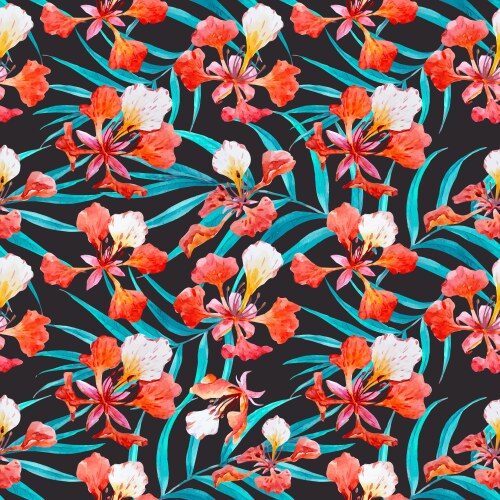 Flamboyant Flower Vector Images (over 180)