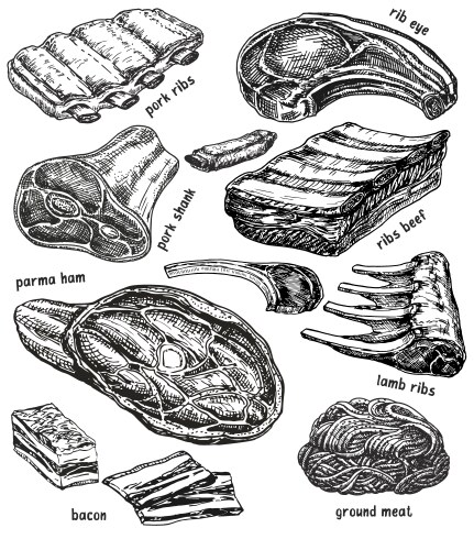 Lamb rib drawing red meat hand drawn Royalty Free Vector