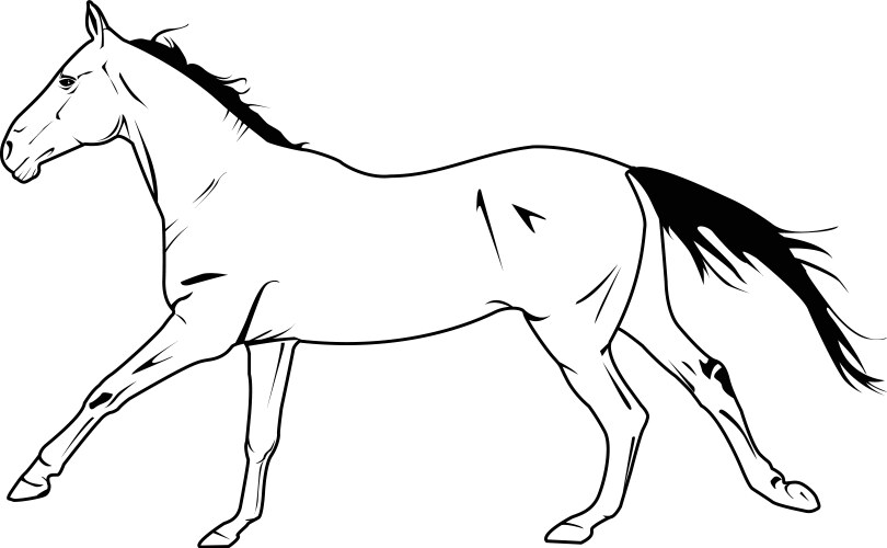 Stallion Silhouette Vector Images (over 13,000)