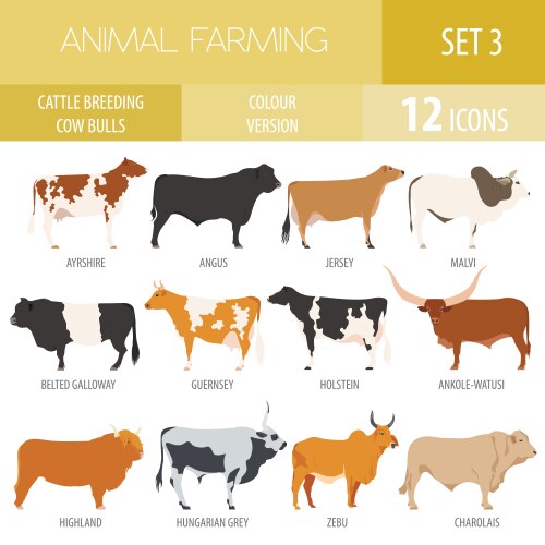 Cattle breeding set Royalty Free Vector Image - VectorStock