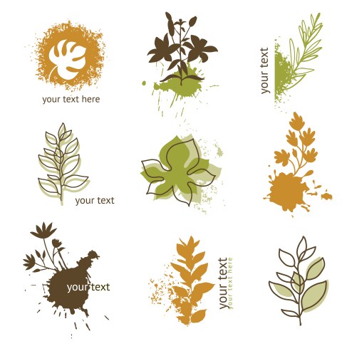 Flower bouquet set floral frame design flourish Vector Image