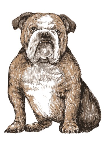 Bulldog Vector Images (over 21,000)