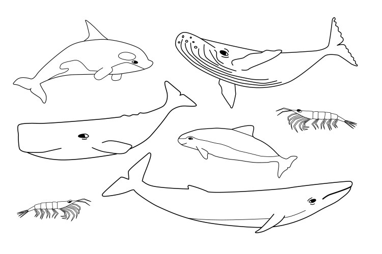Black white line set of isolated animals Vector Image