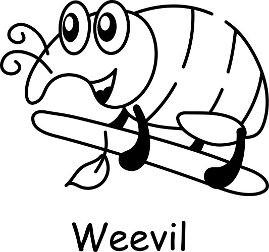 Weevil Vector Images (over 500)