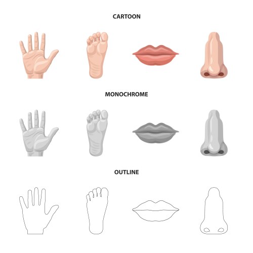 Human and part icon Royalty Free Vector Image - VectorStock