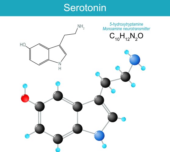 Serotonin Vector Images (over 1,000)