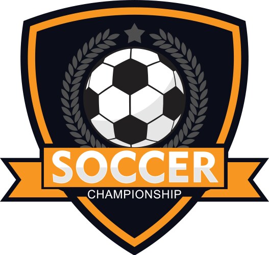 Soccer football logo icon with swoosh design Vector Image