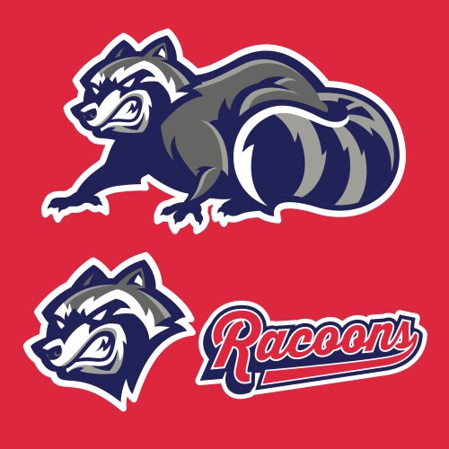 Raccoon Royalty Free Vector Image - VectorStock