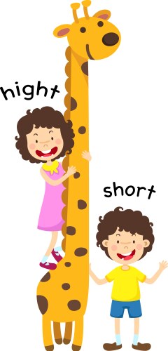 Opposite tall and short Royalty Free Vector Image