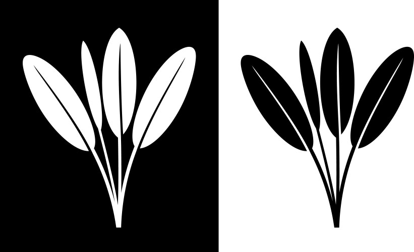 Sage Clipart Available NOW! Over At 🌿 Wild Sage Digital Clipart