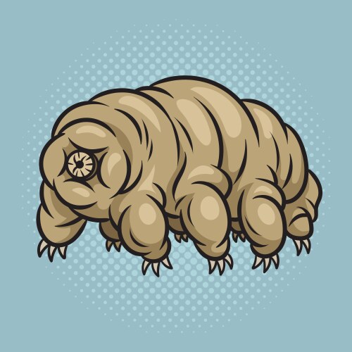 Tardigrades Vector Images (38)