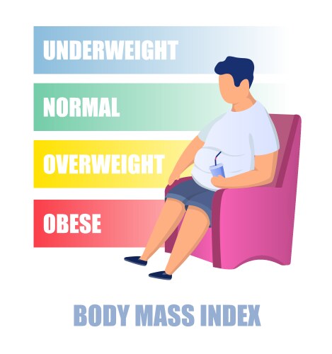 Body mass index scale infographics of underweight Vector Image