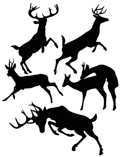 Deer Outline Vector Images (over 30,000)