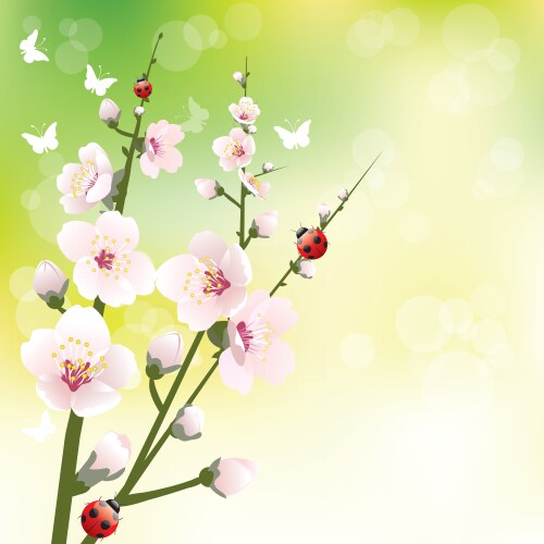 Spring Royalty Free Vector Image - VectorStock