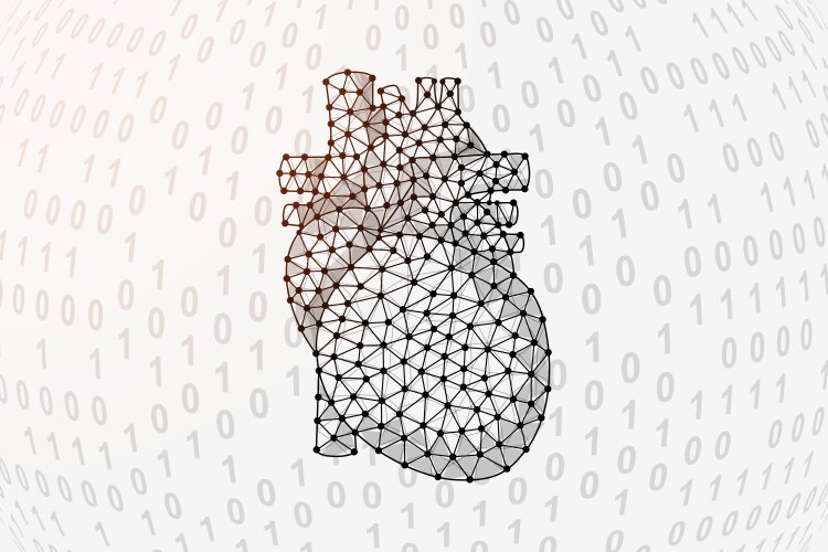 Human heart 3d realistic Royalty Free Vector Image