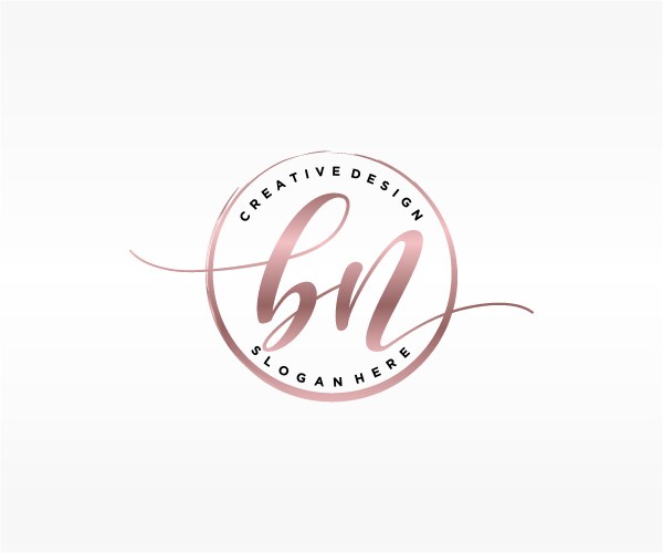Bn initial handwriting logo with circle template Vector Image