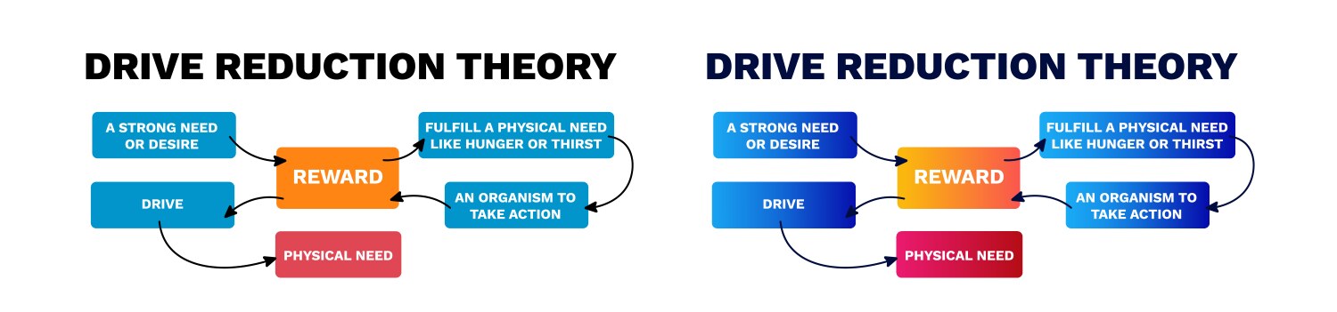 Social learning theory diagram information Vector Image