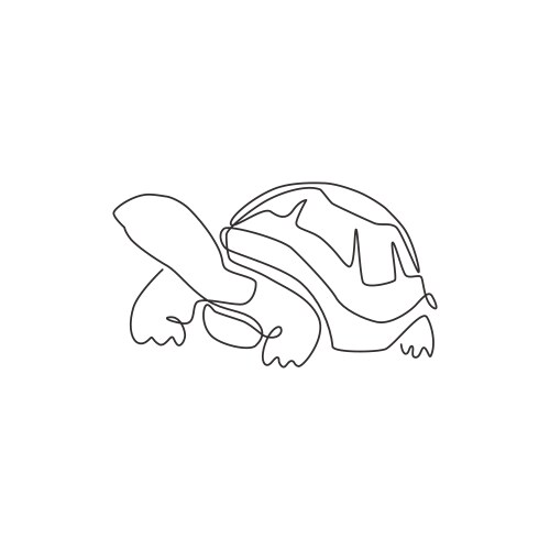 Tortoise Outline Vector Images (over 3,000)