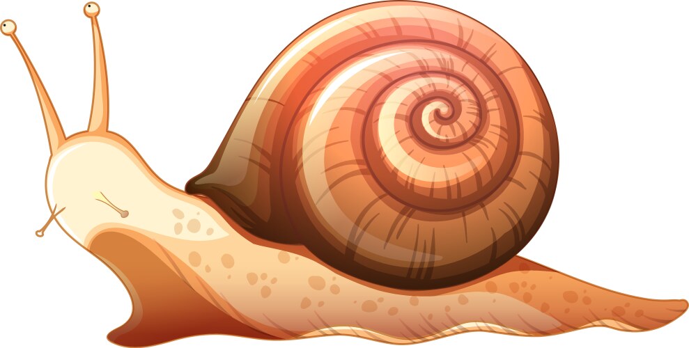 Clock with snail template Royalty Free Vector Image