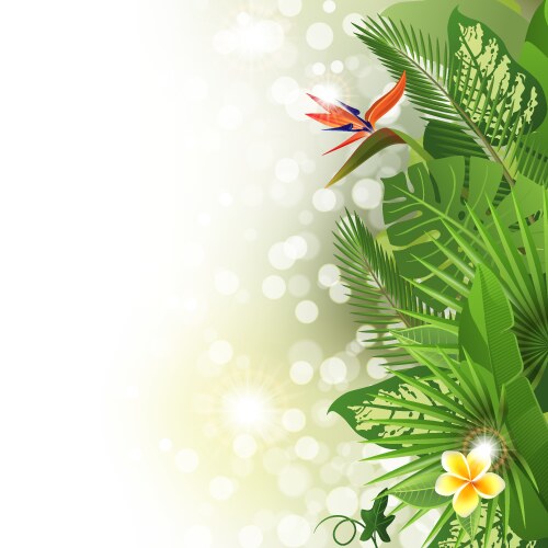 Tropical background Royalty Free Vector Image - VectorStock