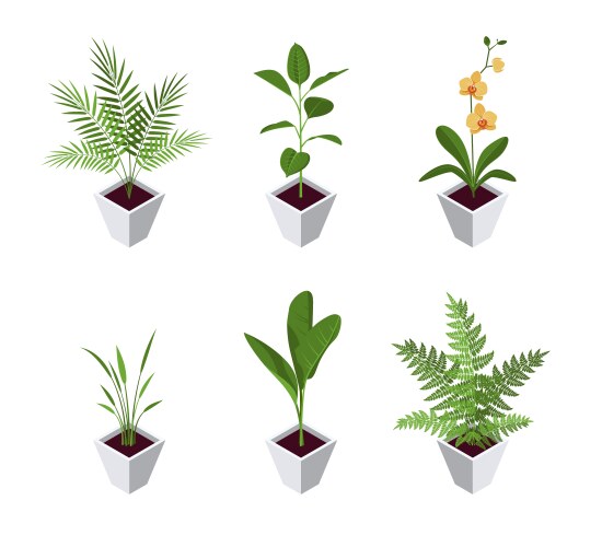 Isometric Plants Vector Images (over 49,000)