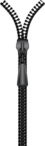 Short zip icon cartoon style Royalty Free Vector Image