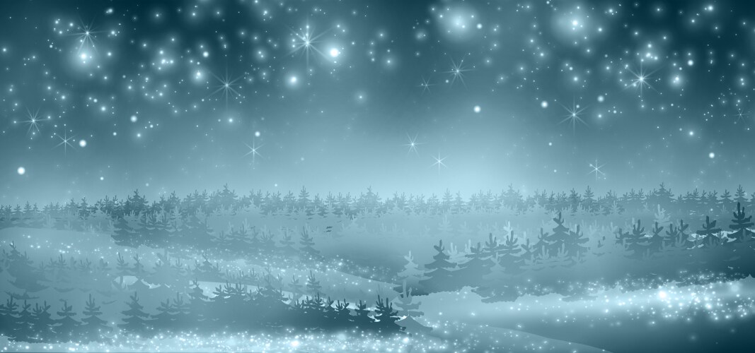 Winter snow background with night stars and trees Vector Image