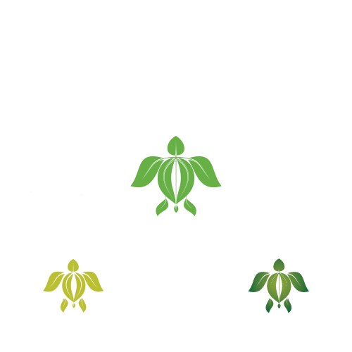 Tortoise logo design template inspiration Vector Image