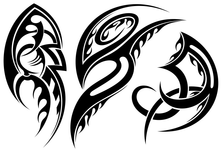 Traditional maori tattoo design with turtle Vector Image